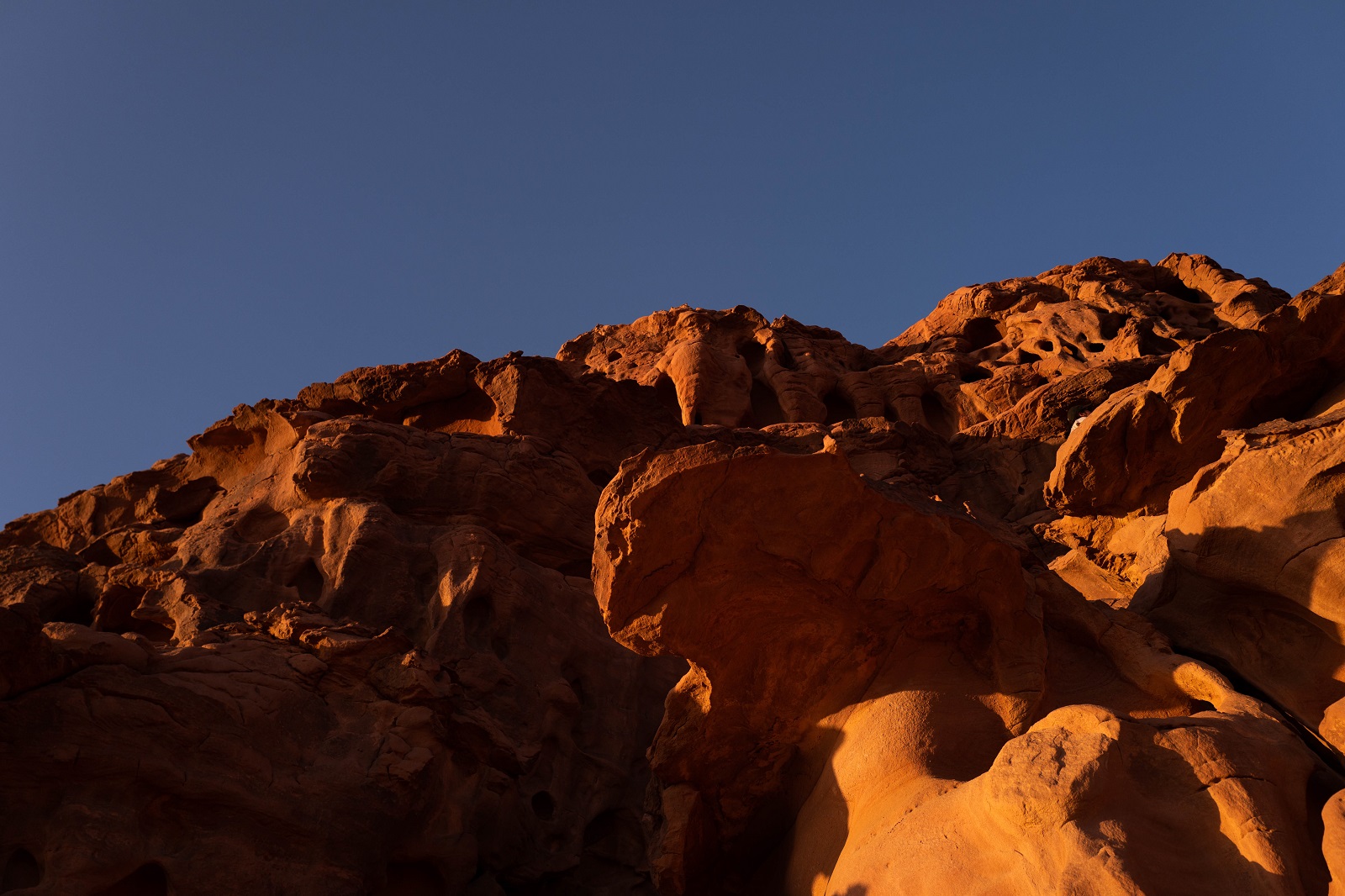 CET Jordan: Read the Comprehensive Assessment Report - CET Academic ...