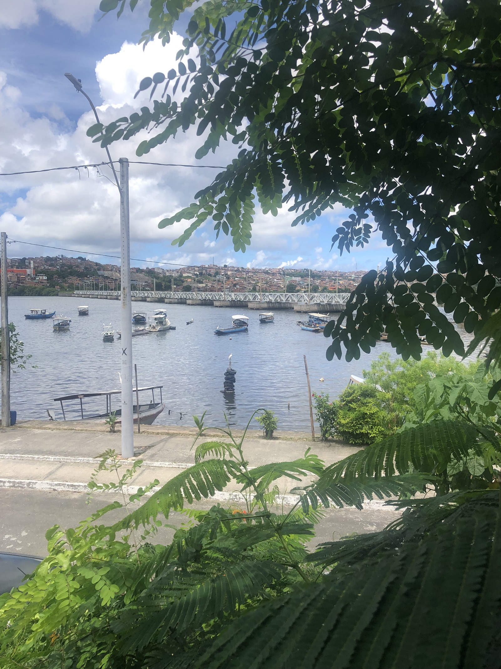 Transformative Travel: Salvador Bahia - CET Academic Programs