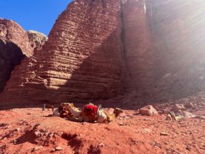 Wadi Rum with CET Jordan - CET Academic Programs